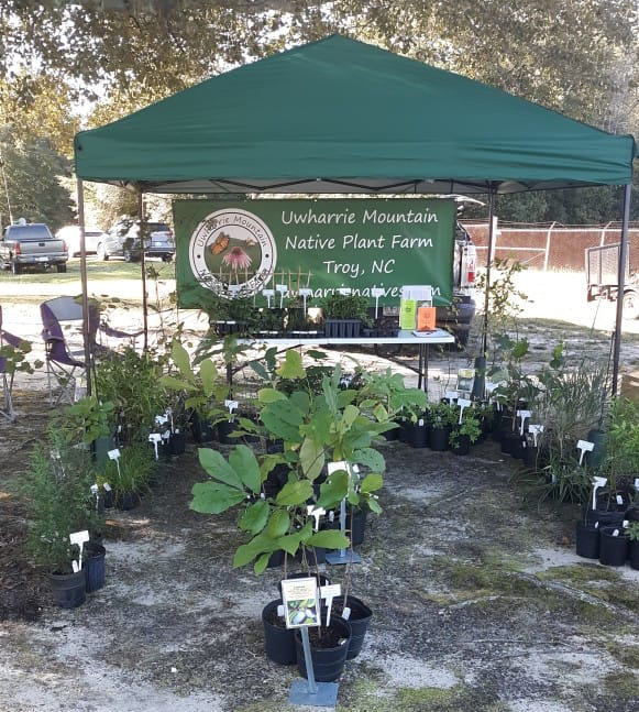 The Triangle Studio – Potters' Pumpkin Patch