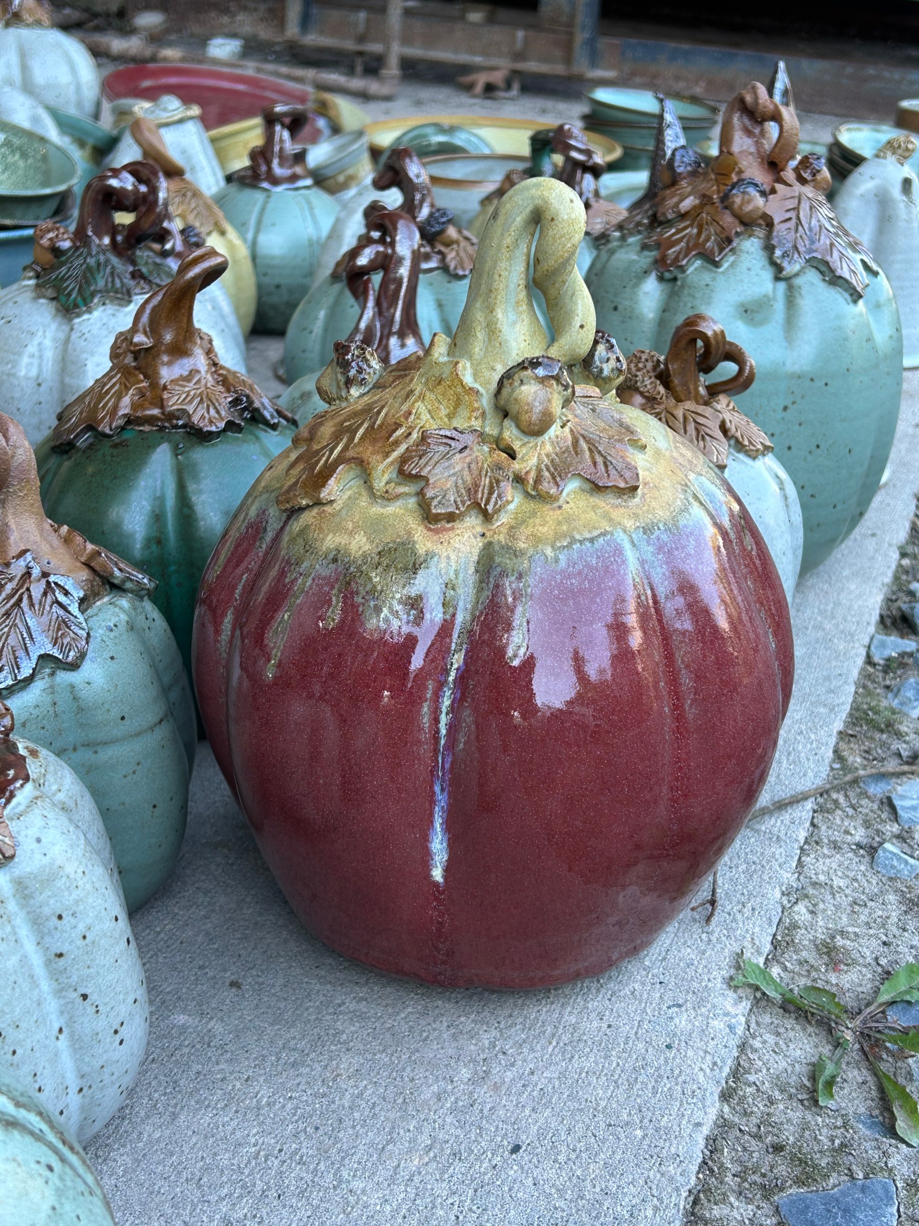 Potters' Pumpkin Patch